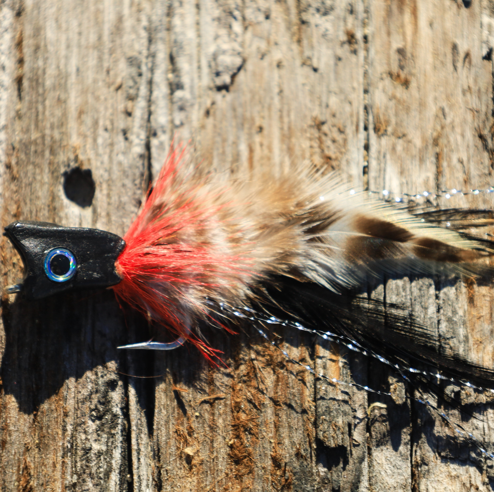 Swamp Donkey Popper
