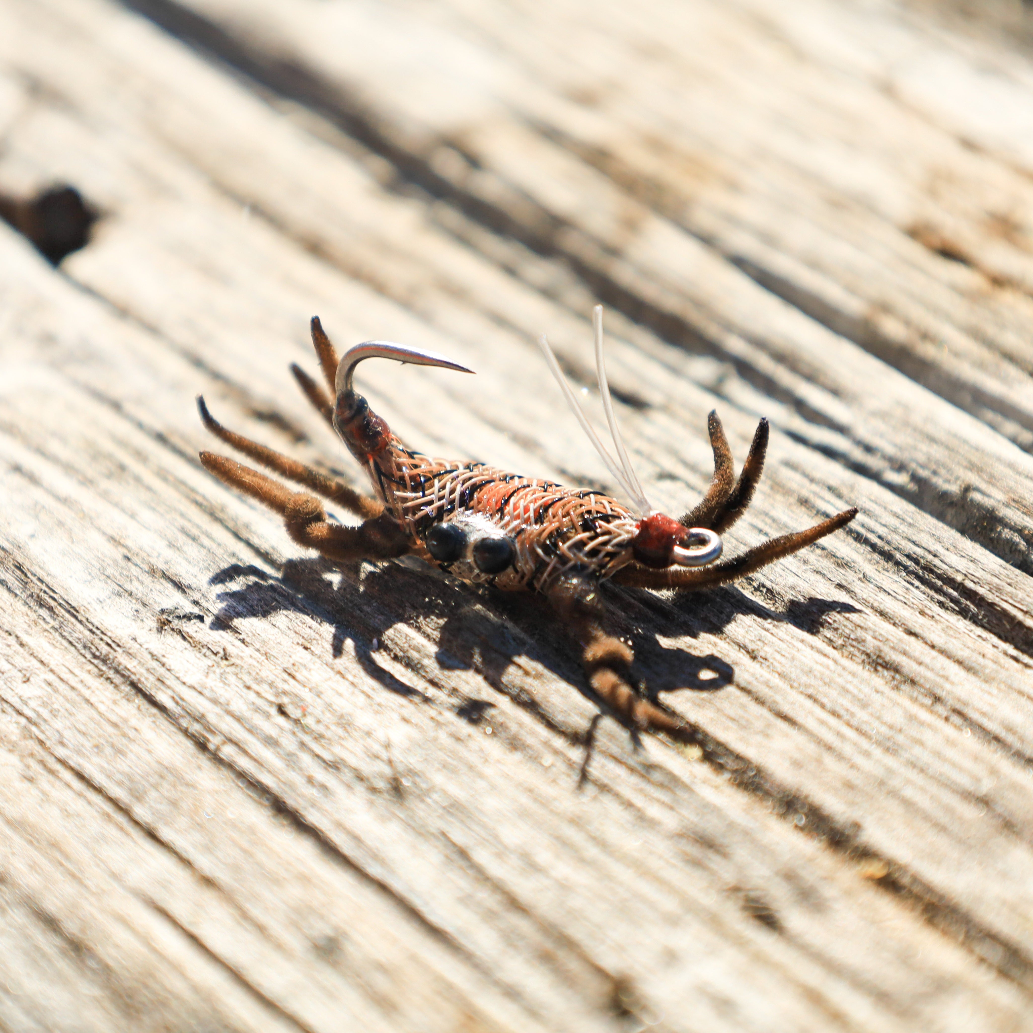CW Flexo Crab Snake